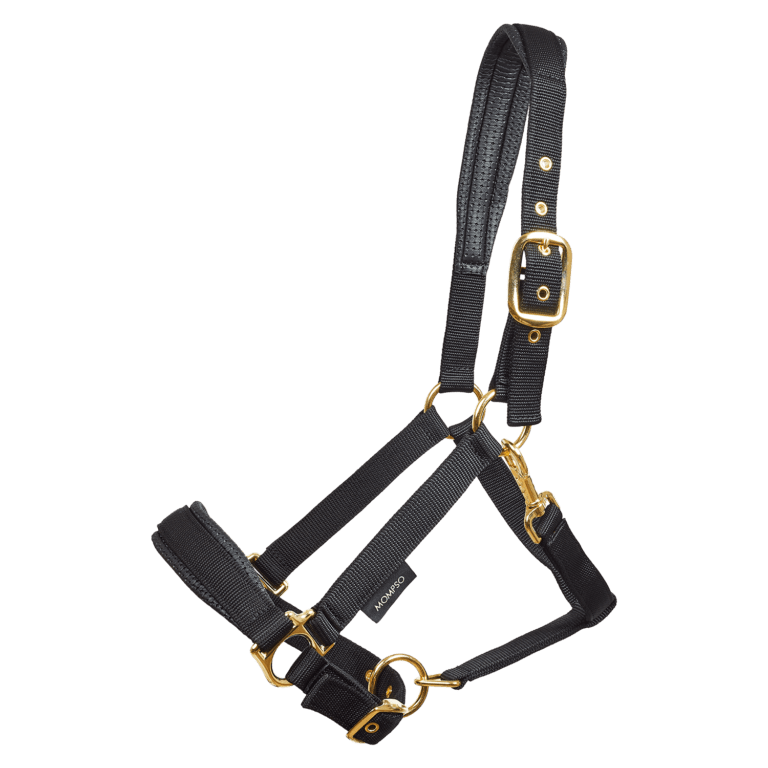 Καπίστρια Αλόγου | Mompso Καπίστρια - Eshop Ιππασίας