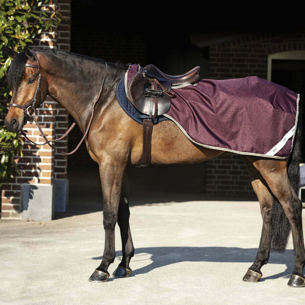 HORSEWARE Amigo Waterproof Ripstop Rug - Mompso