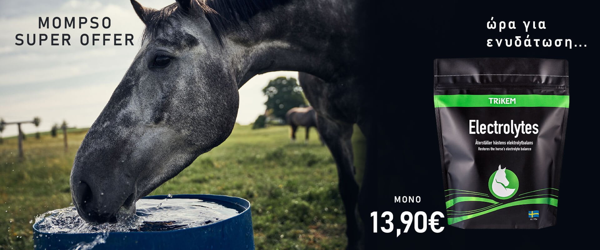 Είδη Ιππασίας - Εξοπλισμός Ιππέα & Αλόγου | Mompso Ιππασία