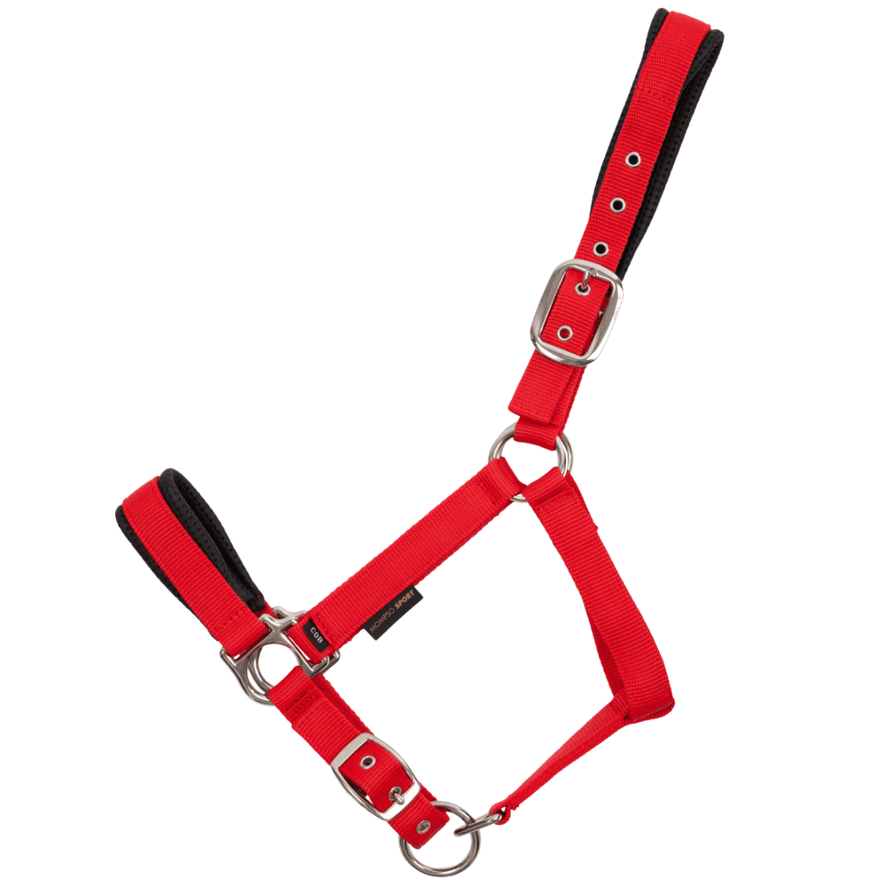 Καπίστρια Αλόγου | Mompso Καπίστρια - Eshop Ιππασίας