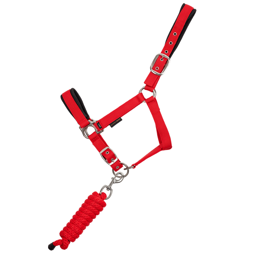 Καπίστρια Αλόγου | Mompso Καπίστρια - Eshop Ιππασίας