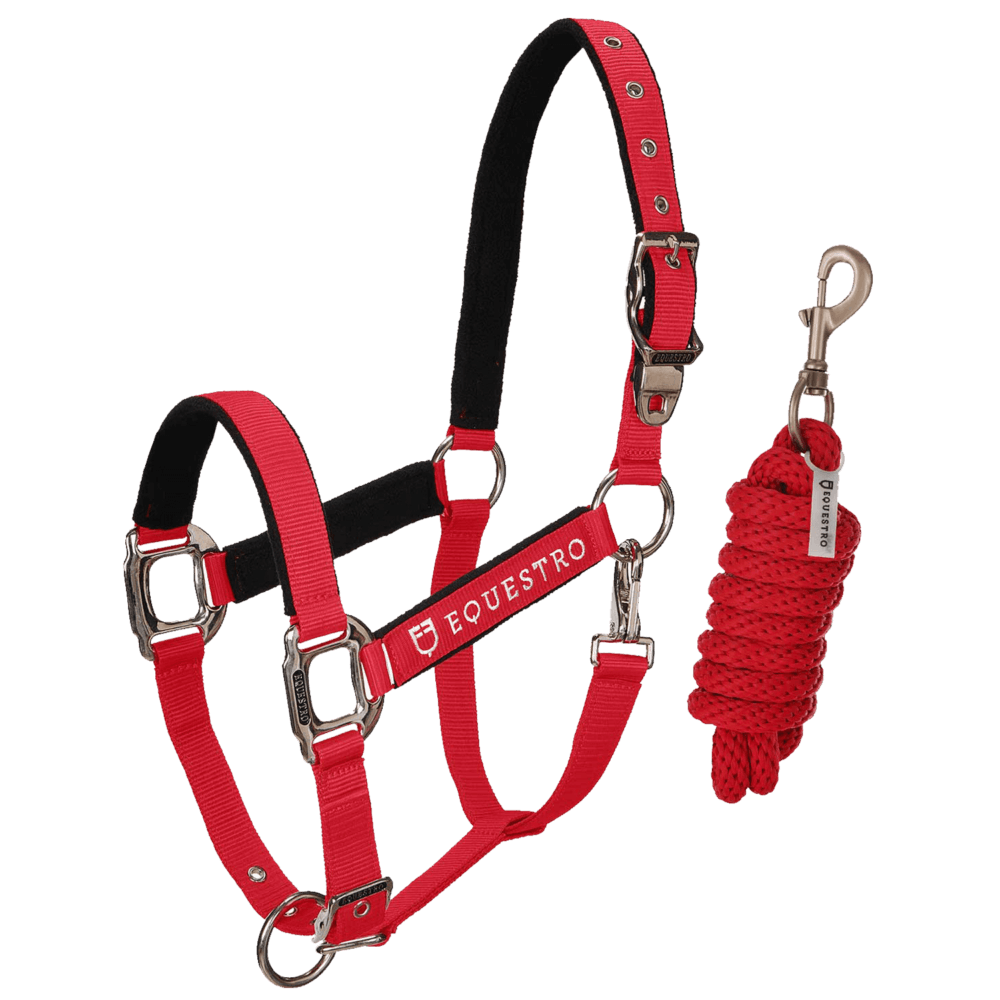 Καπίστρια Αλόγου | Mompso Καπίστρια - Eshop Ιππασίας